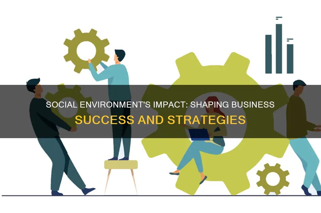 Social Environment's Impact: Shaping Business Success And Strategies ...