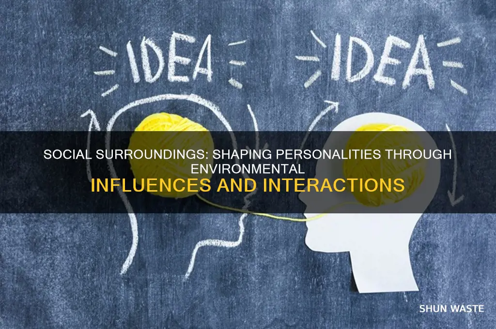Social Surroundings: Shaping Personalities Through Environmental ...