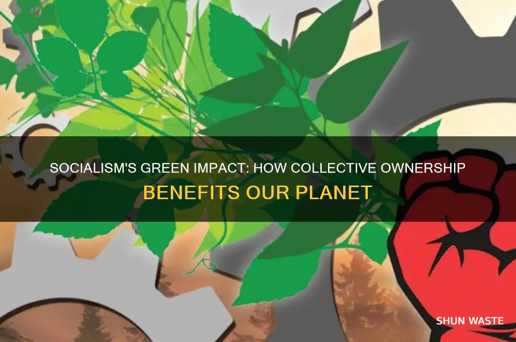 Socialism's Green Impact: How Collective Ownership Benefits Our Planet ...