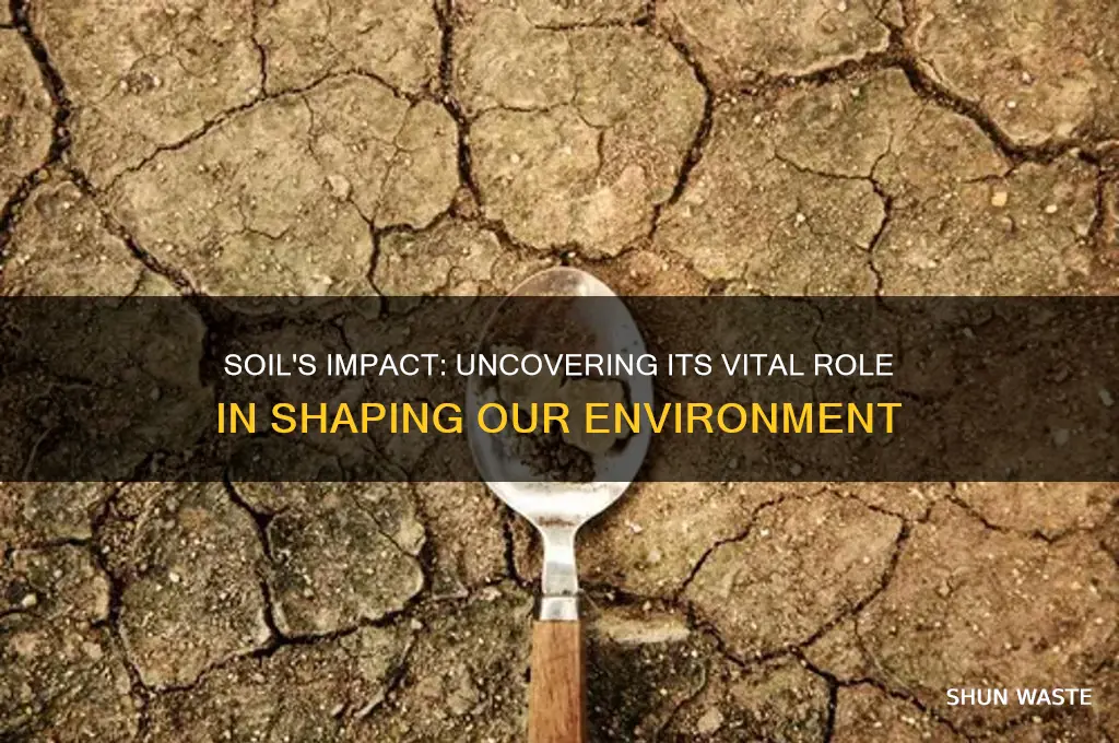Soil's Impact: Uncovering Its Vital Role In Shaping Our Environment ...