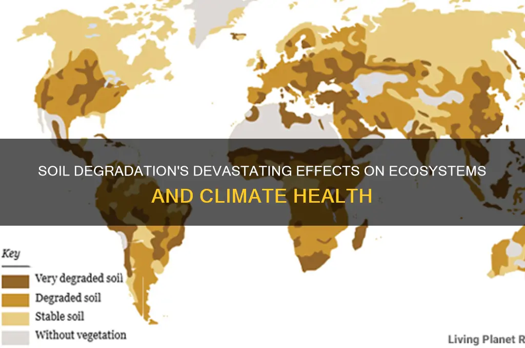 Soil Degradation's Devastating Effects On Ecosystems And Climate Health ...
