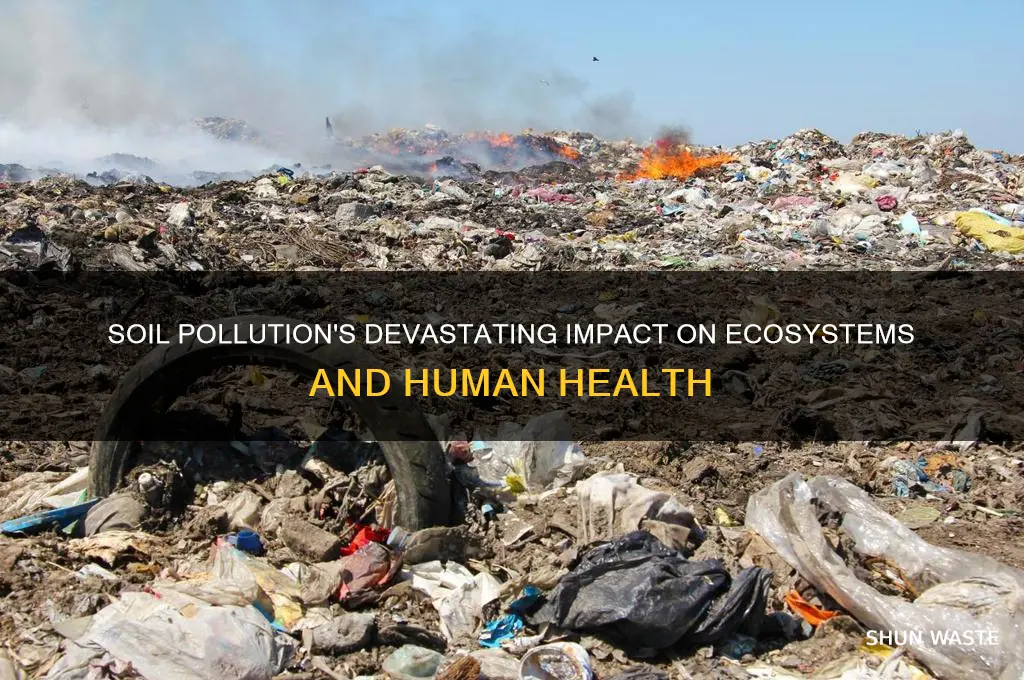 Soil Pollution's Devastating Impact On Ecosystems And Human Health ...