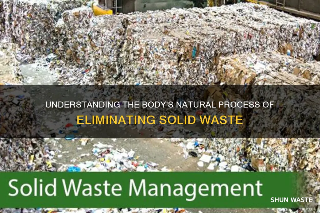 Understanding The Body's Natural Process Of Eliminating Solid Waste ...