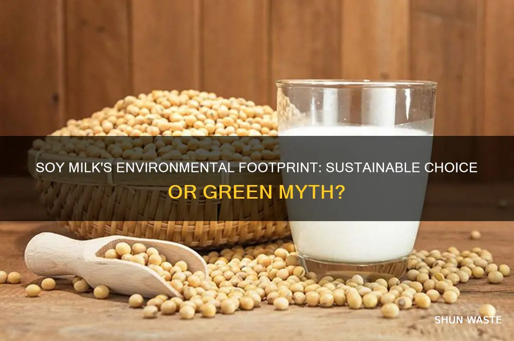 Soy Milk's Environmental Footprint: Sustainable Choice Or Green Myth ...