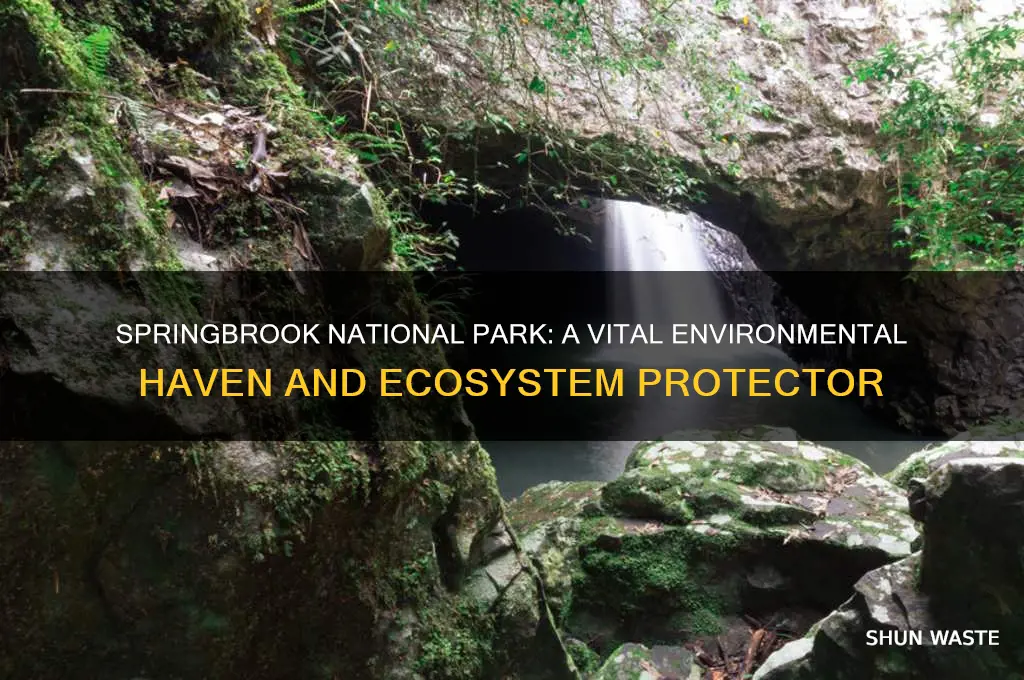 Springbrook National Park: A Vital Environmental Haven And Ecosystem ...