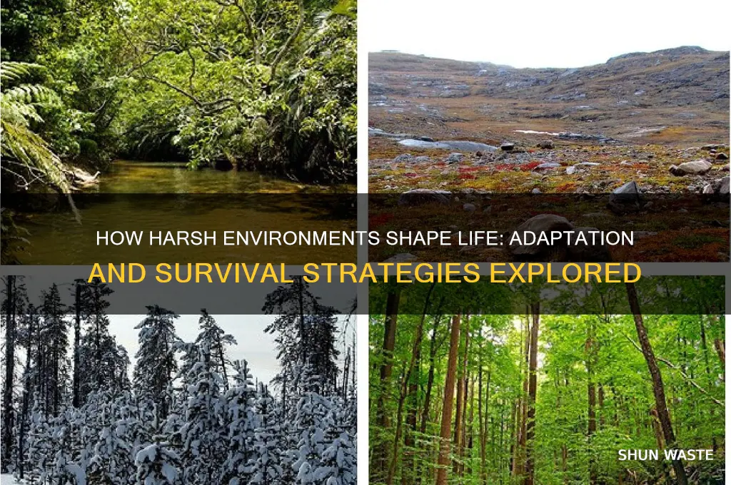 How Harsh Environments Shape Life: Adaptation And Survival Strategies ...