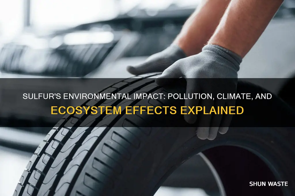 Sulfur's Environmental Impact: Pollution, Climate, And Ecosystem ...