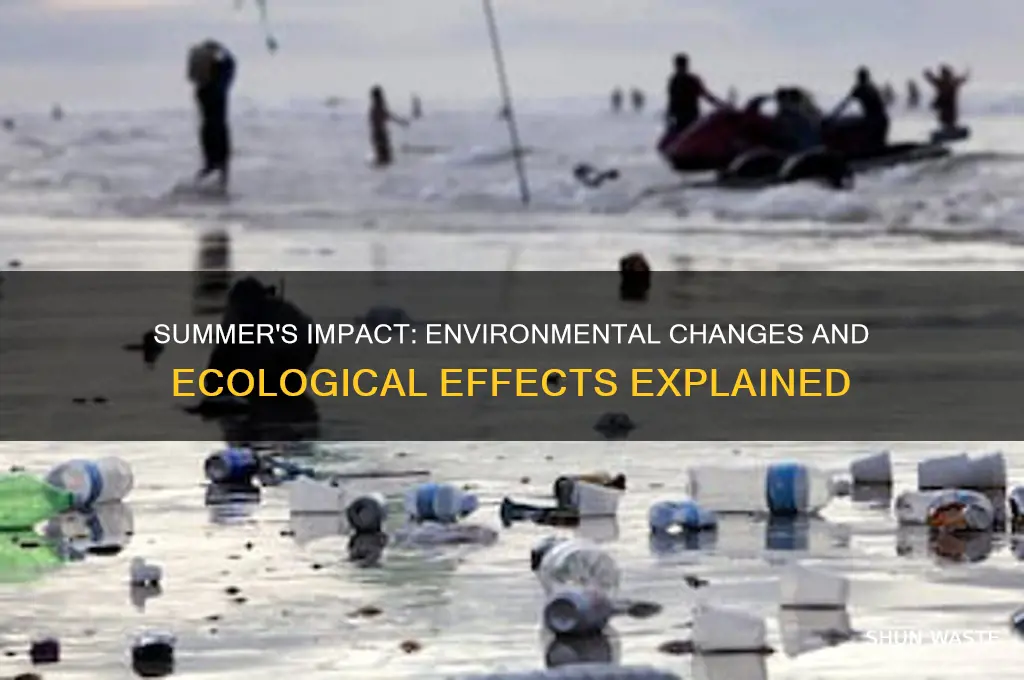 Summer's Impact: Environmental Changes And Ecological Effects Explained ...