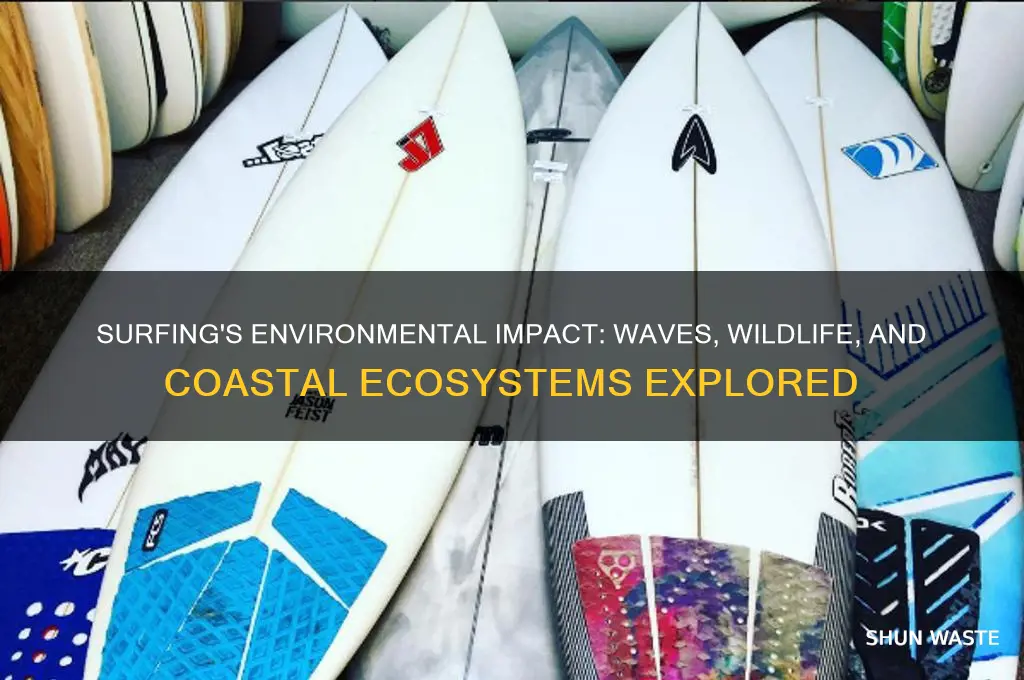 Surfing's Environmental Impact: Waves, Wildlife, And Coastal Ecosystems ...