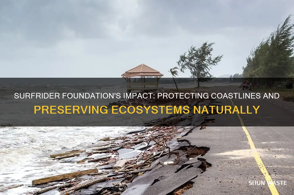Surfrider Foundation's Impact: Protecting Coastlines And Preserving ...