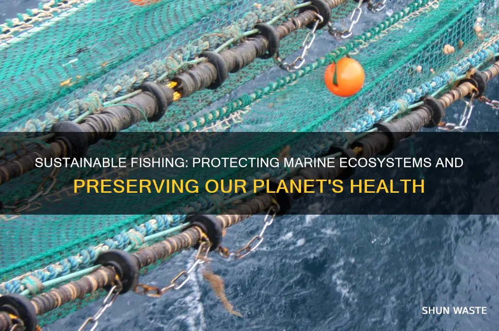 Sustainable Fishing: Protecting Marine Ecosystems And Preserving Our ...