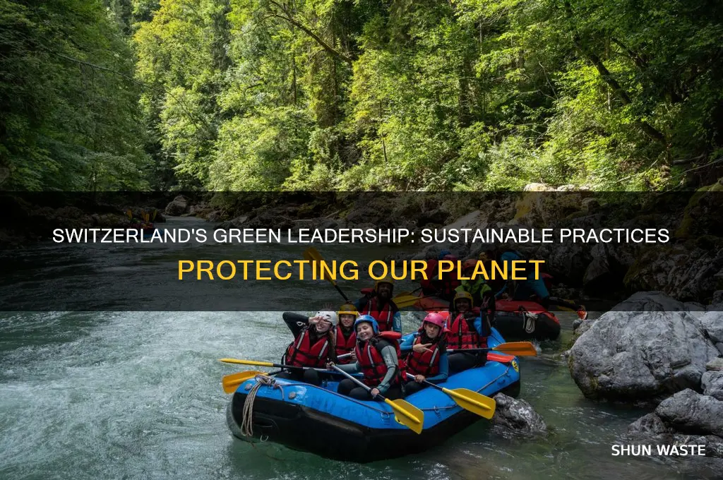 Switzerland's Green Leadership: Sustainable Practices Protecting Our ...