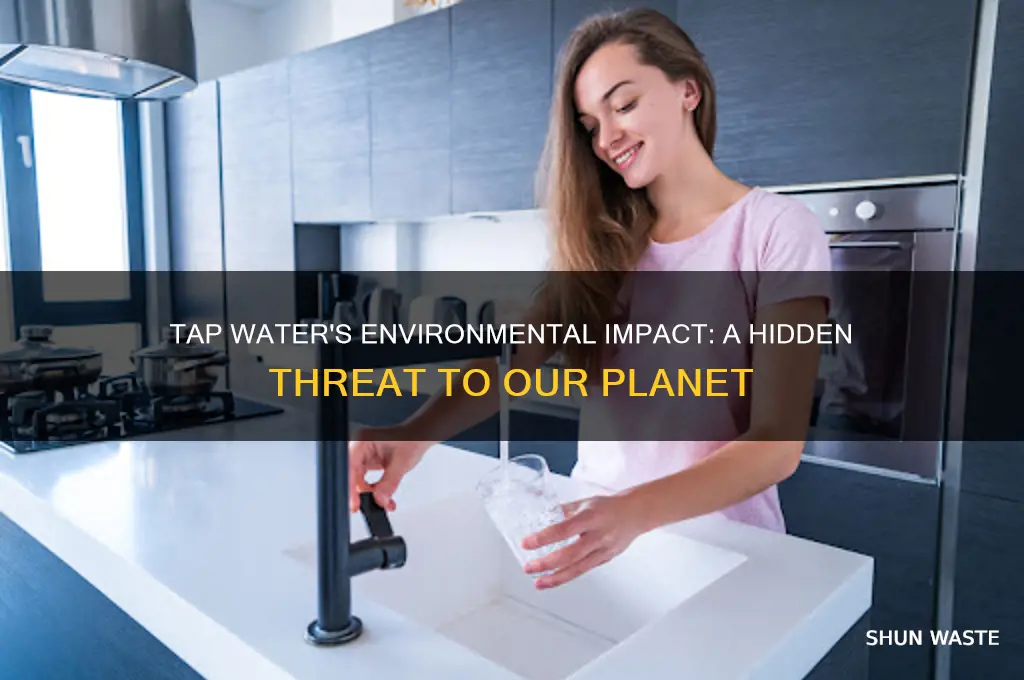 Tap Water's Environmental Impact: A Hidden Threat To Our Planet | ShunWaste