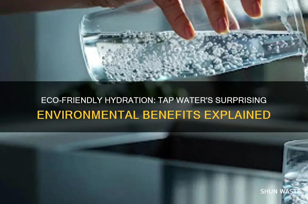 Eco-Friendly Hydration: Tap Water's Surprising Environmental Benefits ...