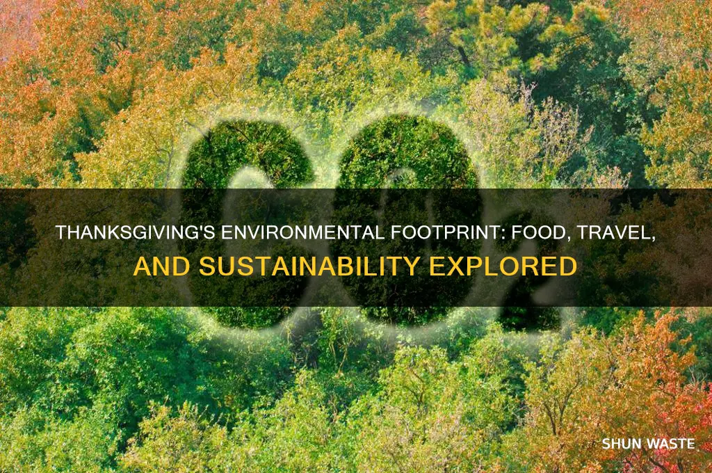 Thanksgiving's Environmental Footprint: Food, Travel, And ...