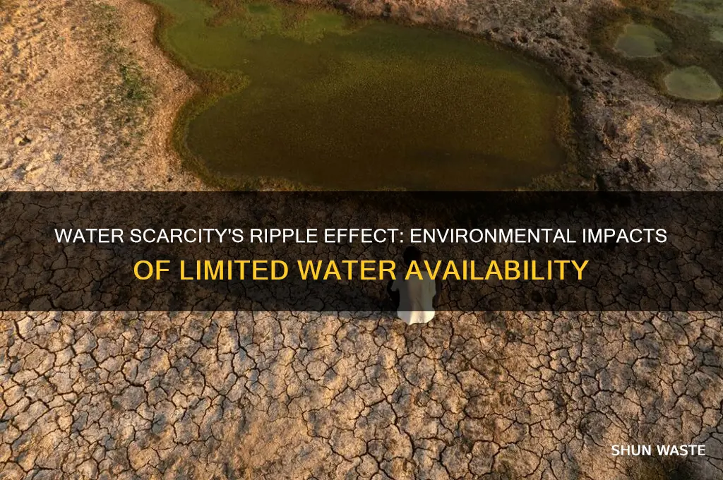 Water Scarcity's Ripple Effect: Environmental Impacts Of Limited Water ...
