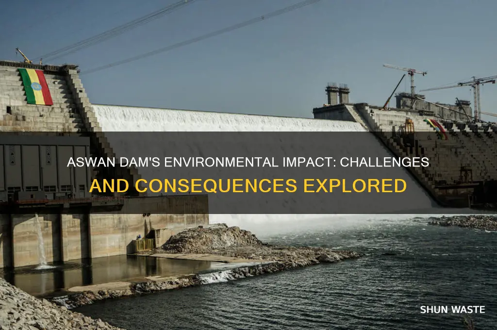 Aswan Dam's Environmental Impact: Challenges And Consequences Explored ...