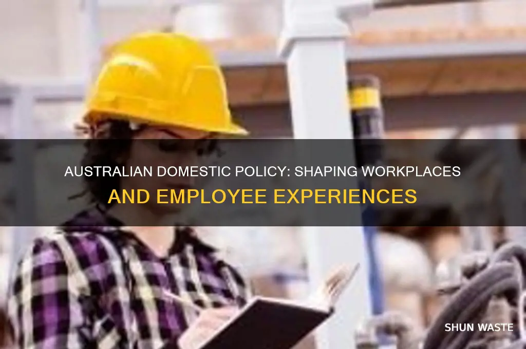 Australian Domestic Policy: Shaping Workplaces And Employee Experiences ...