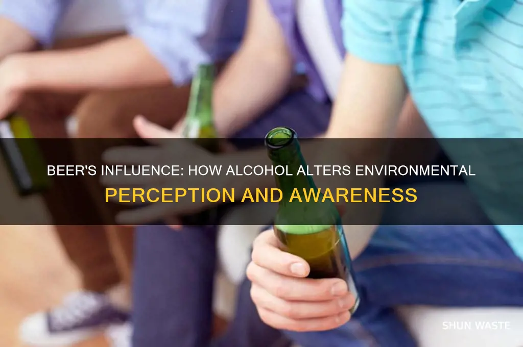 Beer's Influence: How Alcohol Alters Environmental Perception And ...