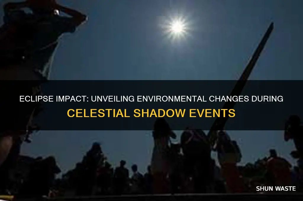 Eclipse Impact: Unveiling Environmental Changes During Celestial Shadow ...