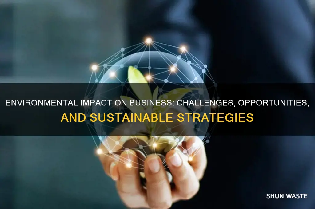 Environmental Impact On Business: Challenges, Opportunities, And ...