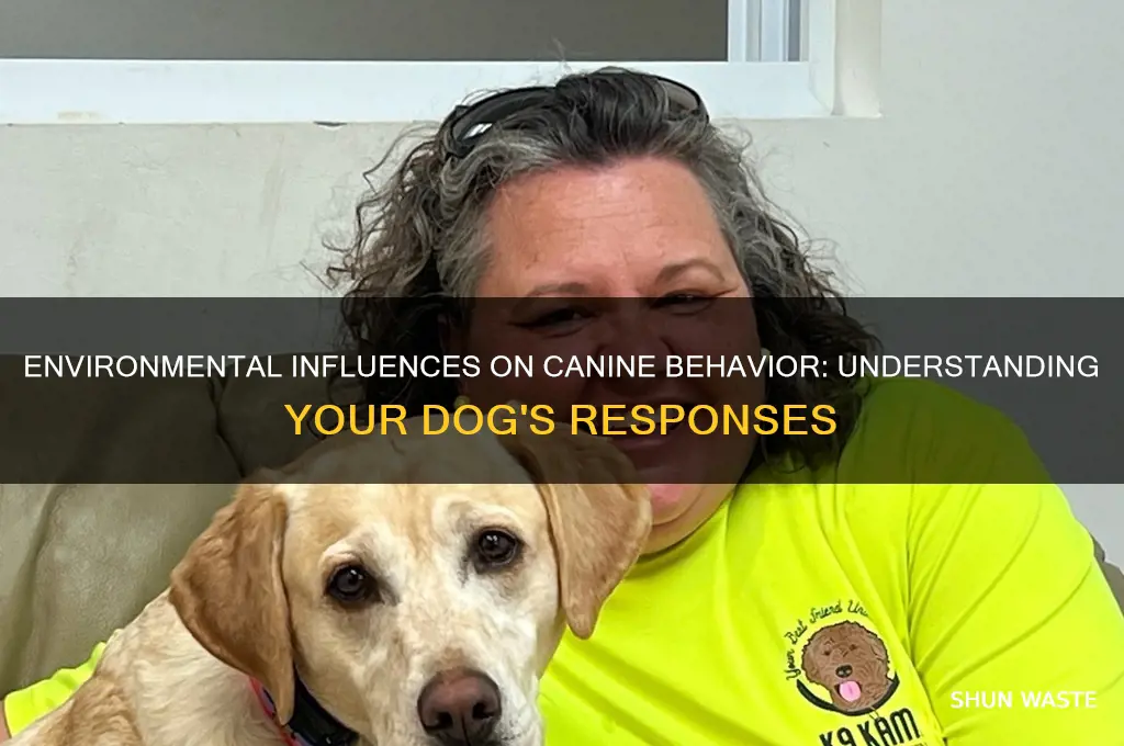 Environmental Influences On Canine Behavior: Understanding Your Dog's ...