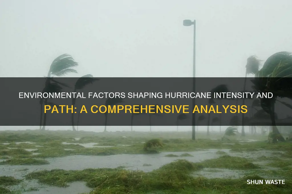 Environmental Factors Shaping Hurricane Intensity And Path: A ...