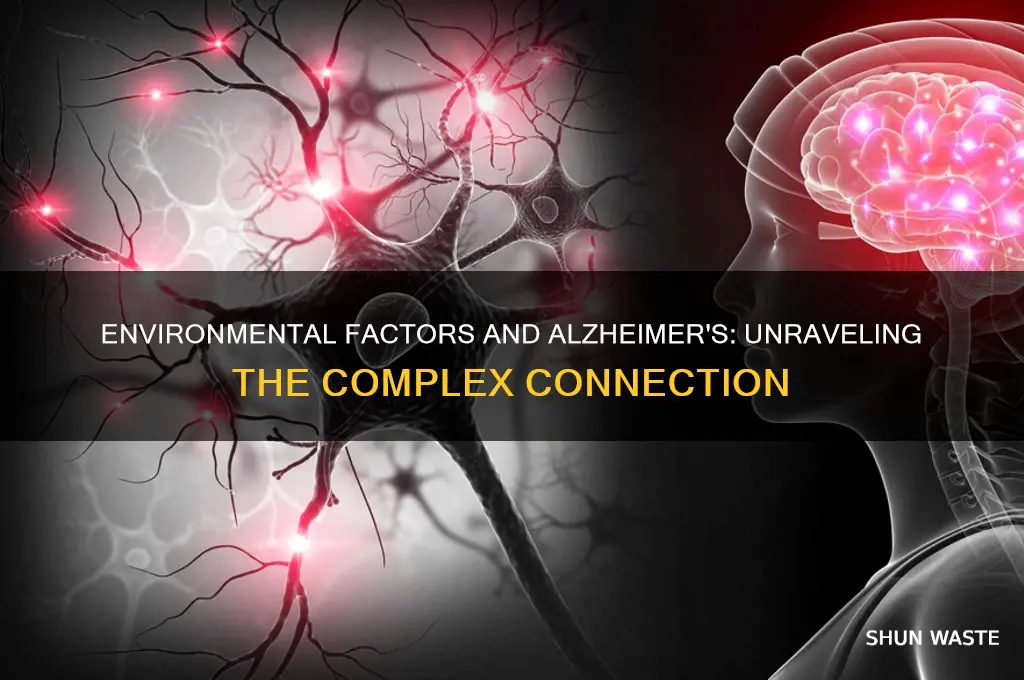 Environmental Factors And Alzheimer's: Unraveling The Complex ...