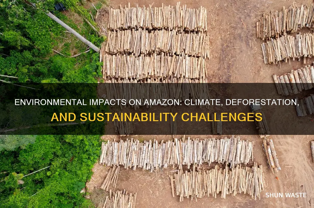 Environmental Impacts On Amazon: Climate, Deforestation, And ...