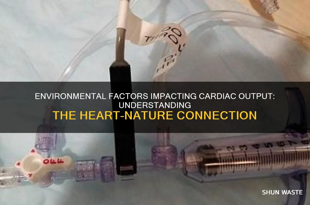 Environmental Factors Impacting Cardiac Output: Understanding The Heart ...