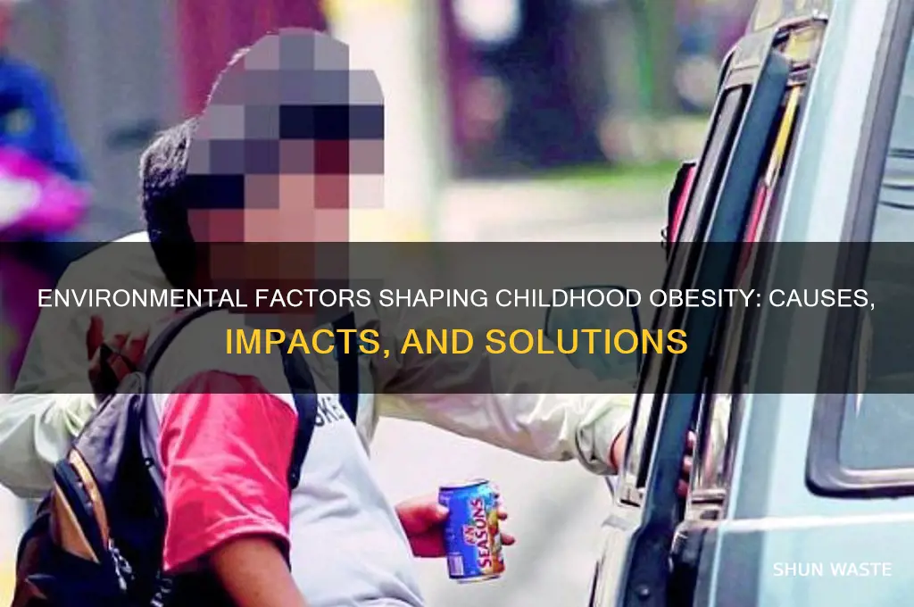 Environmental Factors Shaping Childhood Obesity: Causes, Impacts, And ...