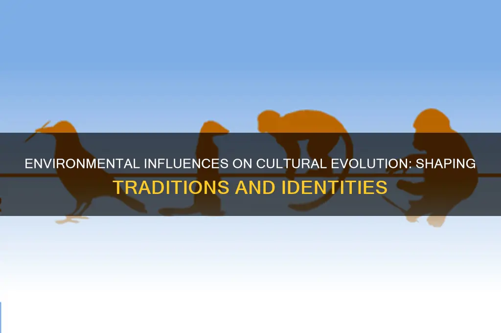 Environmental Influences On Cultural Evolution: Shaping Traditions And ...