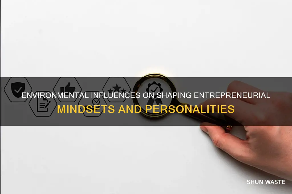 Environmental Influences On Shaping Entrepreneurial Mindsets And ...