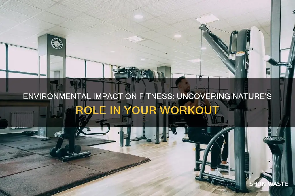 Environmental Impact On Fitness: Uncovering Nature's Role In Your ...