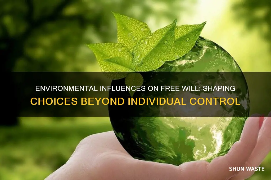 Environmental Influences On Free Will: Shaping Choices Beyond ...