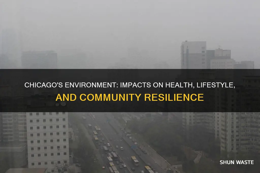 Chicago's Environment: Impacts On Health, Lifestyle, And Community ...