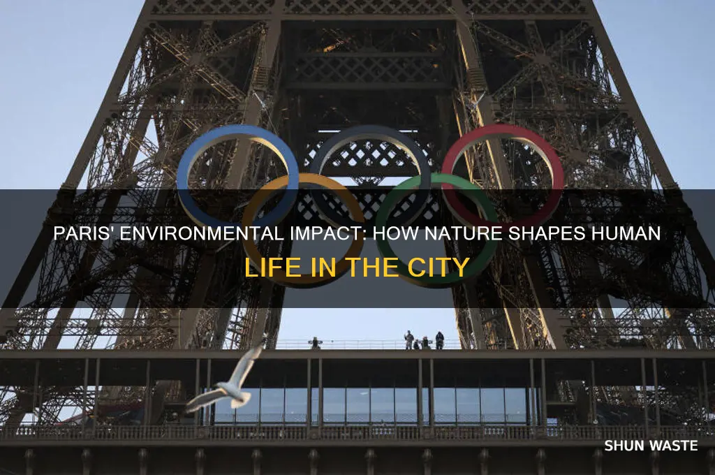 Paris' Environmental Impact: How Nature Shapes Human Life In The City ...