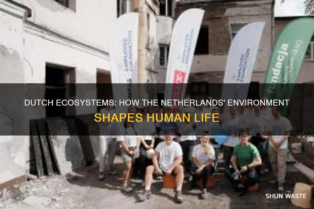 Dutch Ecosystems: How The Netherlands' Environment Shapes Human Life ...