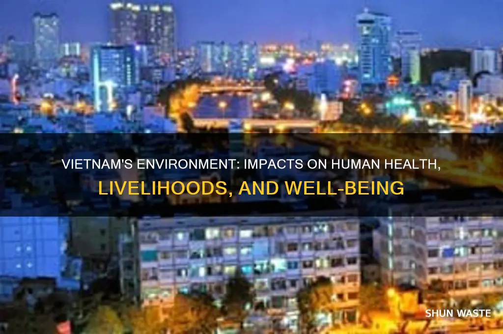 Vietnam's Environment: Impacts On Human Health, Livelihoods, And Well ...