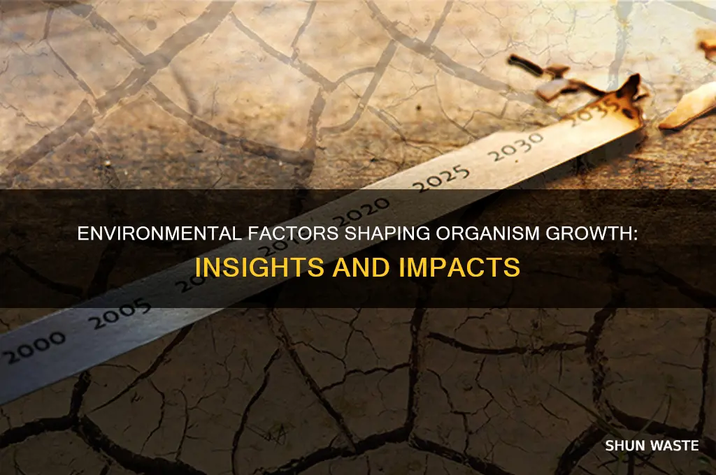 Environmental Factors Shaping Organism Growth: Insights And Impacts ...