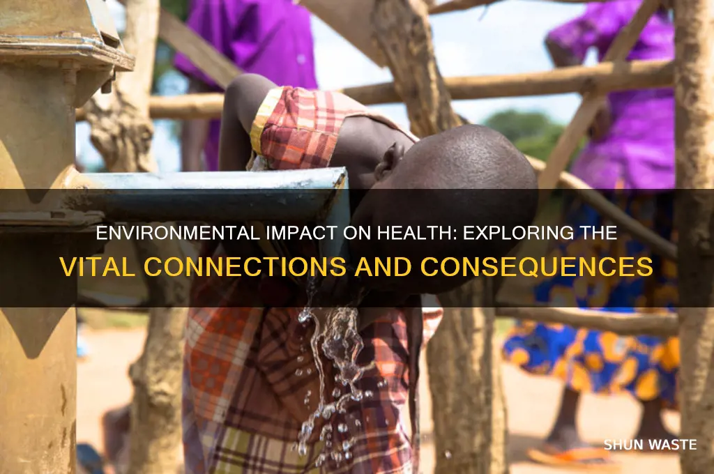 Environmental Impact On Health: Exploring The Vital Connections And ...