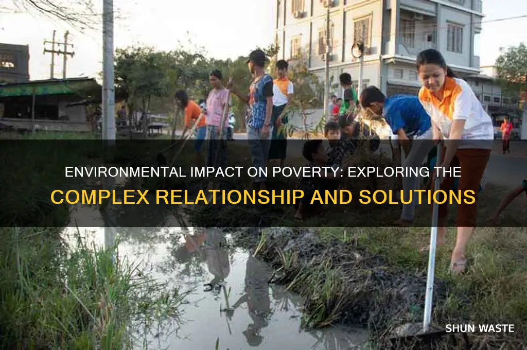 Environmental Impact On Poverty: Exploring The Complex Relationship And ...
