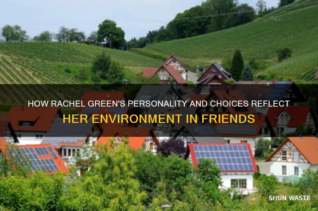 How Rachel Green's Personality And Choices Reflect Her Environment In ...