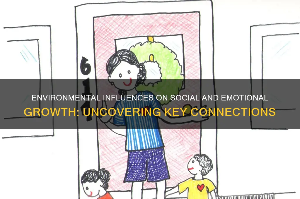 Environmental Influences On Social And Emotional Growth: Uncovering Key ...