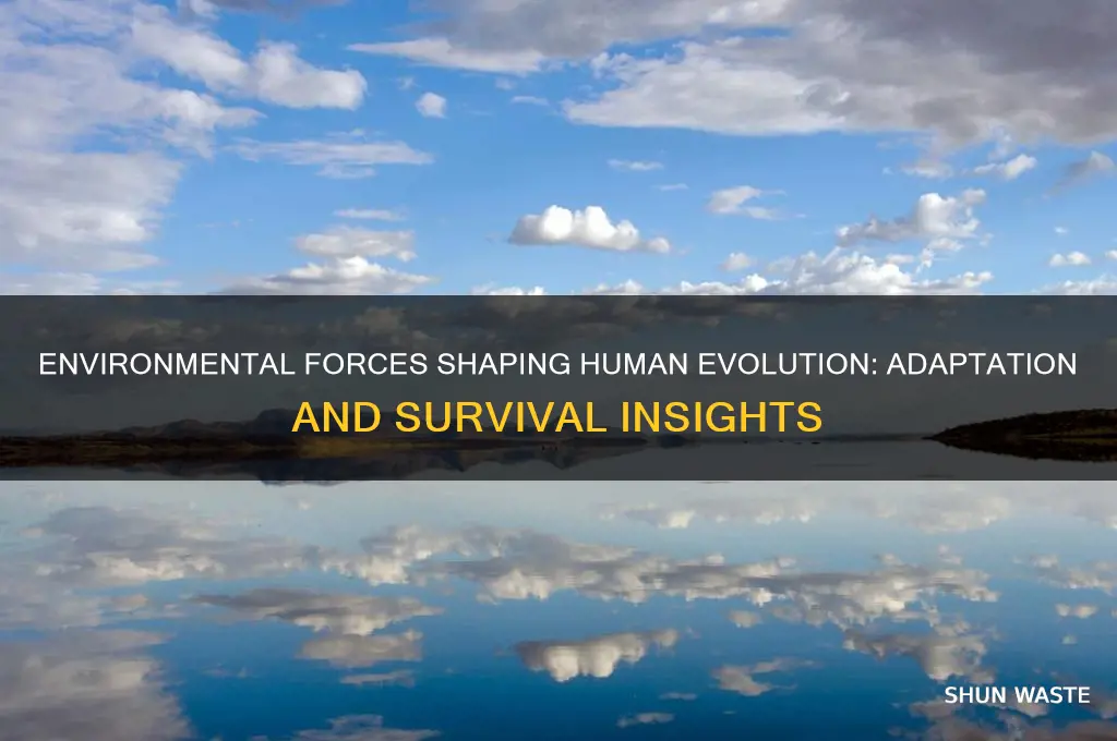 Environmental Forces Shaping Human Evolution: Adaptation And Survival ...