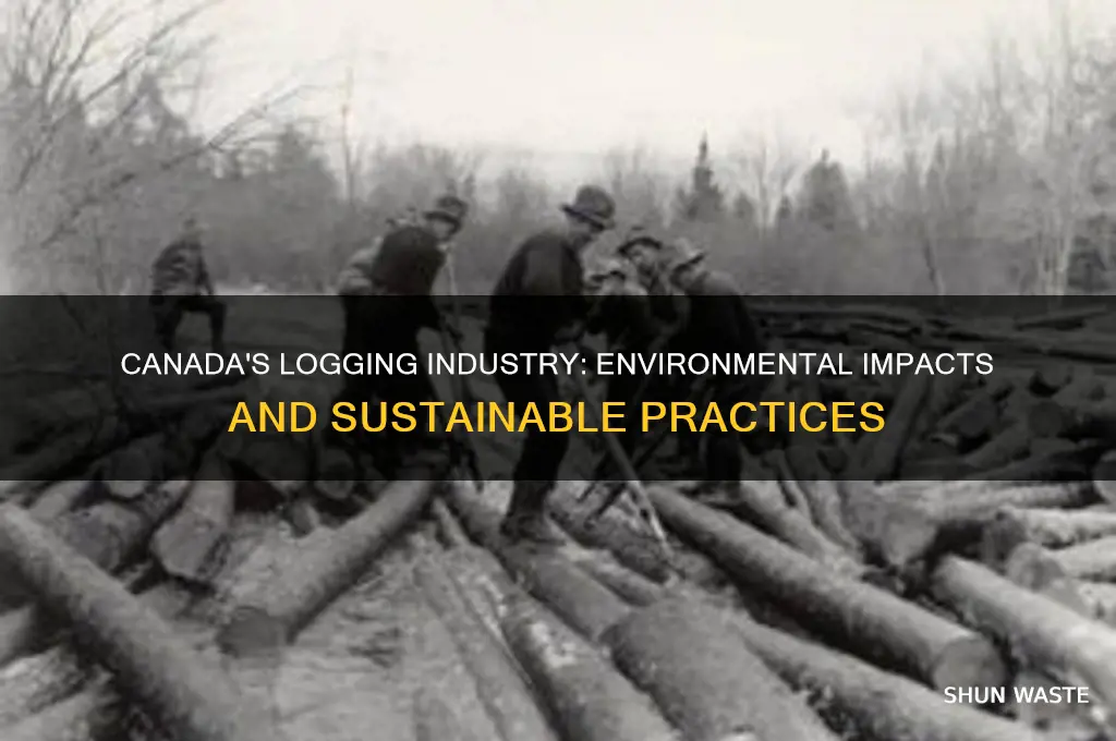 Canada's Logging Industry: Environmental Impacts And Sustainable ...