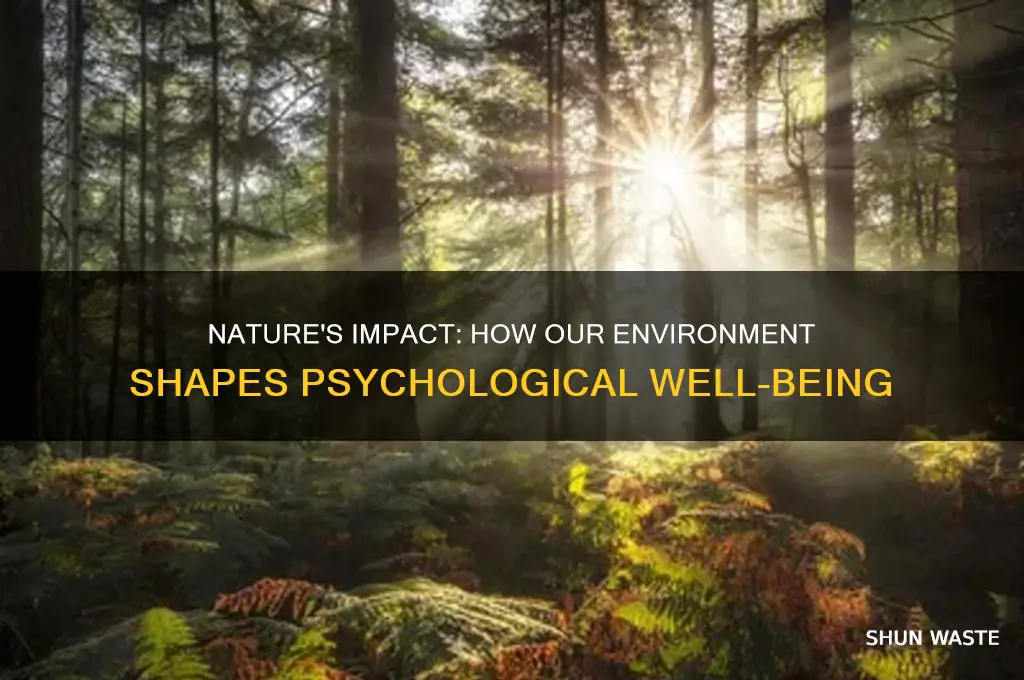 Nature's Impact: How Our Environment Shapes Psychological Well-Being ...