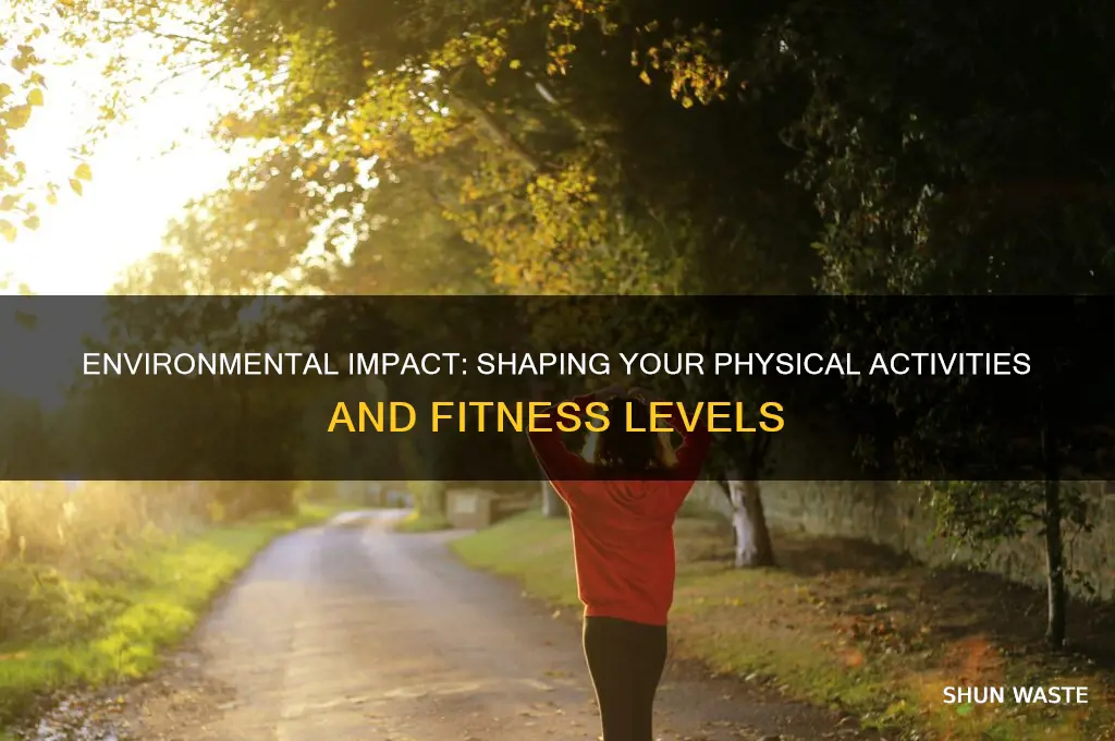 Environmental Impact: Shaping Your Physical Activities And Fitness ...