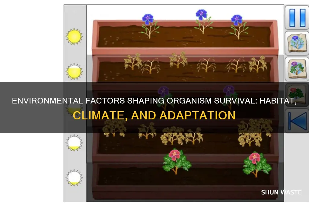 Environmental Factors Shaping Organism Survival: Habitat, Climate, And ...