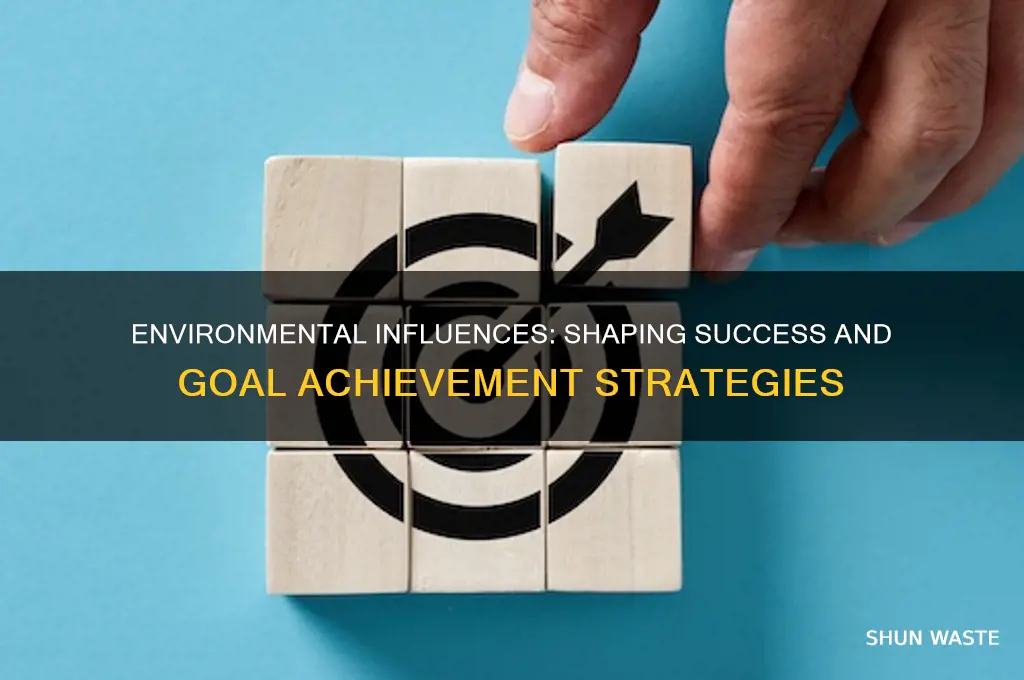 Environmental Influences: Shaping Success And Goal Achievement ...
